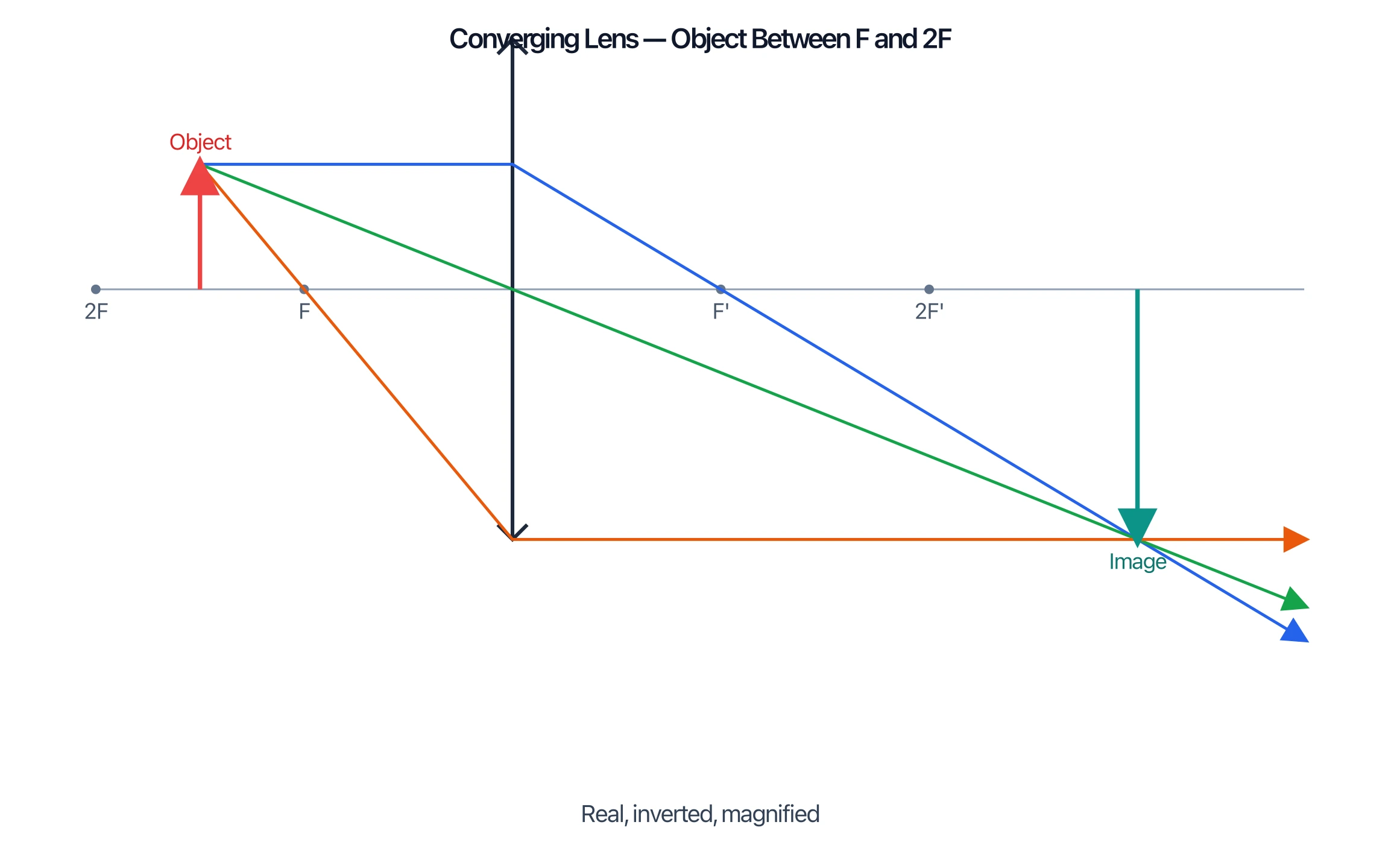 Ray Diagram Generator | Lens & Mirror Image Formation